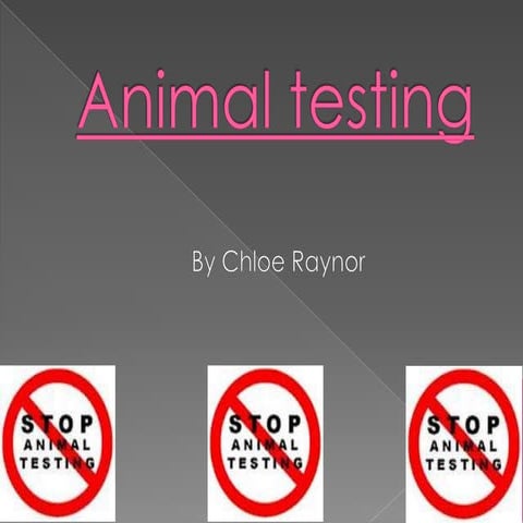 Animal testing presentation | PPTX