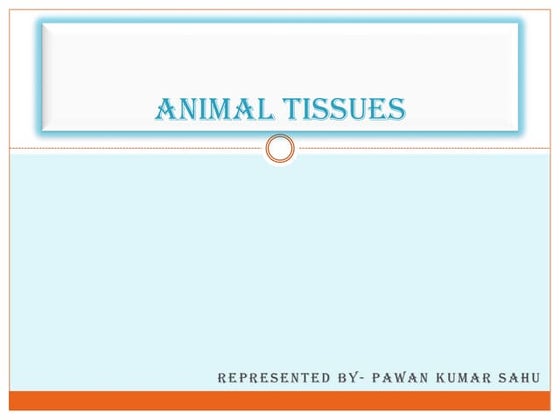 Tissues, types and functions(Anatomy)- Easy explanation | PDF ...