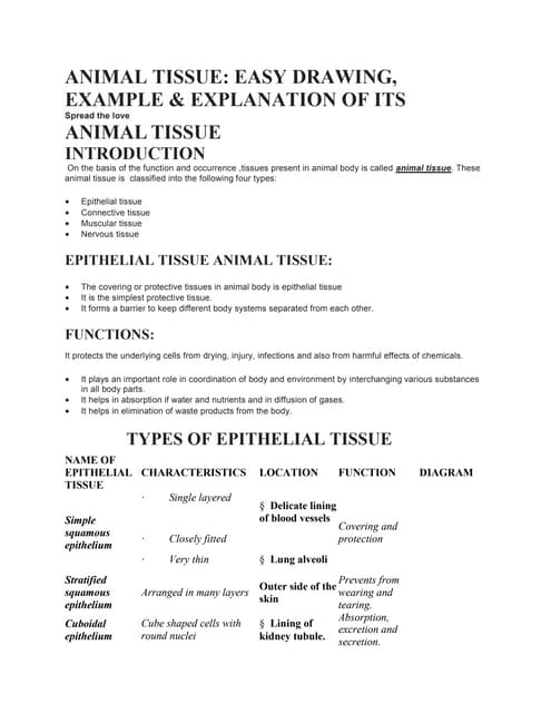 TISSUES IN ANIMALS botany project ug.pptx