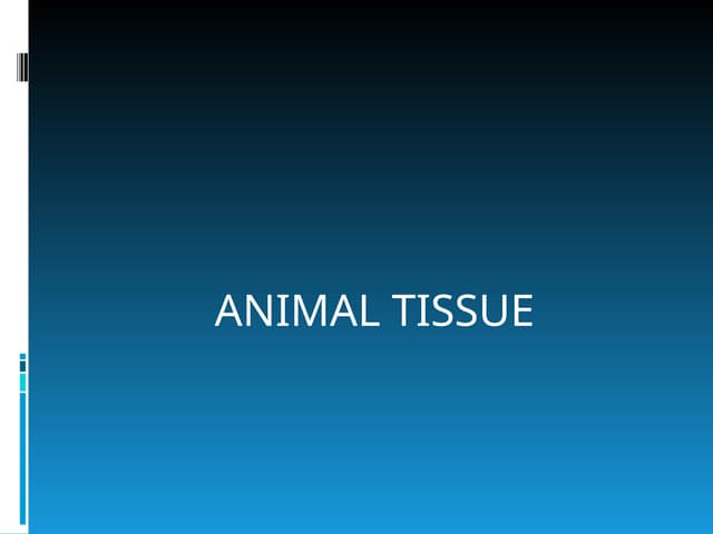 Animal Tissues PowerPoint Presentation | PPTX