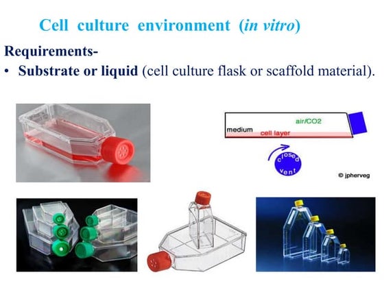 Types of culture media | PPTX | Chemistry | Science