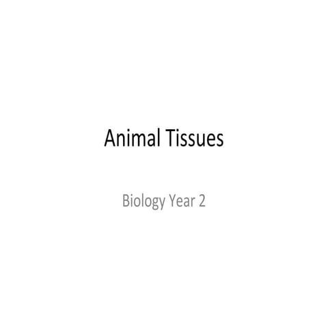 Animal tissues | PPT