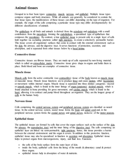 Class 9 tissues | PPTX