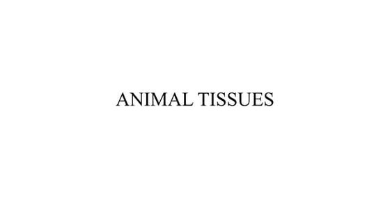 types of animal tissues class 9 | PPT