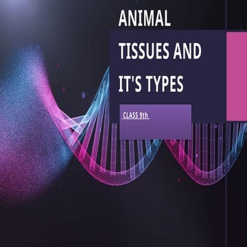 Animal Tissues.pptx @@@@@@@@@@@@@@@##### | PPT