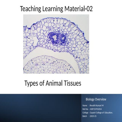 Animal_Tissues_Presentation skills of biology | PPTX