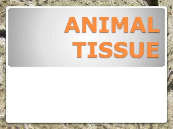 types of animal tissues class 9 | PPTX | Bone and Joint Conditions | Diseases and Conditions