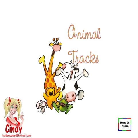 Animal Tracks 06 02 09 | PPS