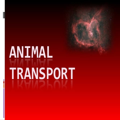 Animal Transport Complete | PPT