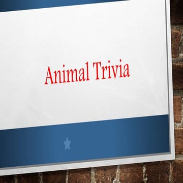 Animal Trivia | PPTX