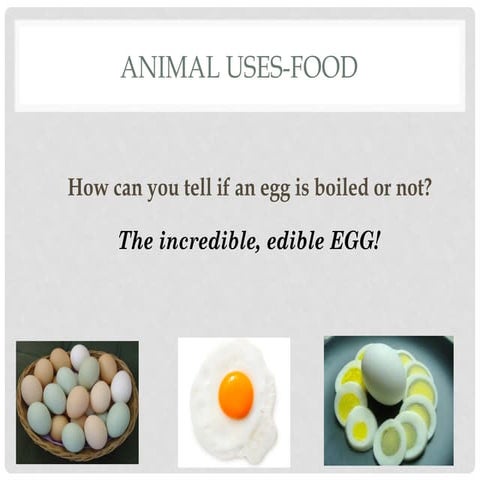 Animal products & animal by product | PPTX