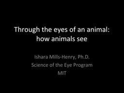 Animal vision | PPT