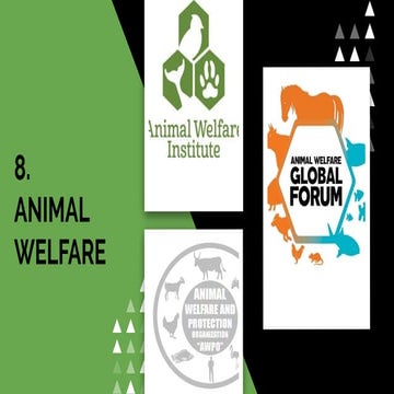 Animal welfare | PDF
