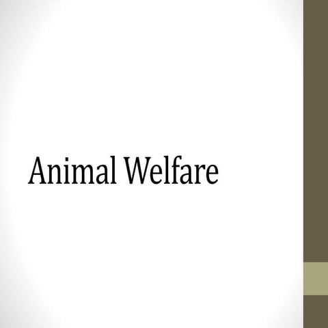 Animal Welfare.pptx