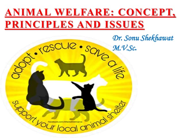 Animal welfare | PPTX