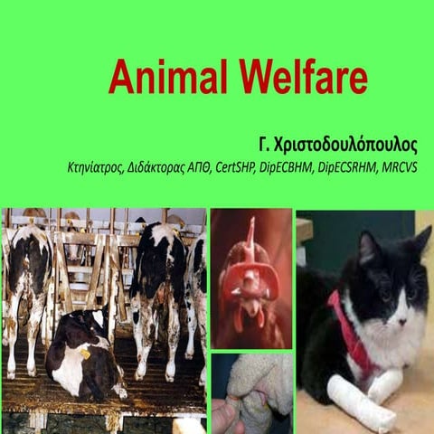 Animal welfare 2012 | PPT