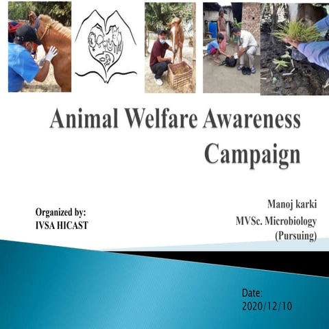 Animal welfare | PPTX