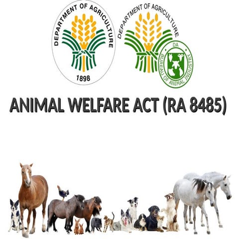 Animal Welfare Presentation wasdasd- A.ppt