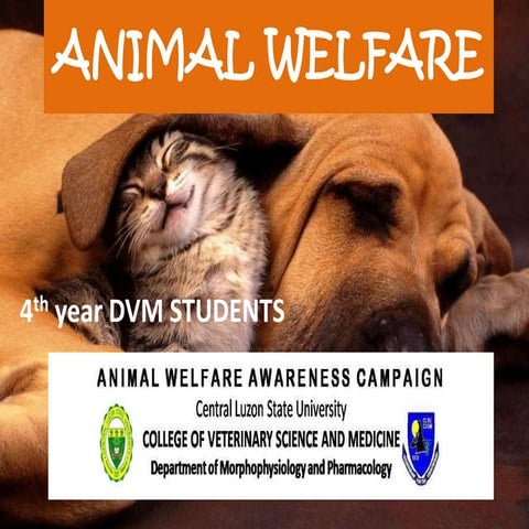 Animal welfare | PPTX
