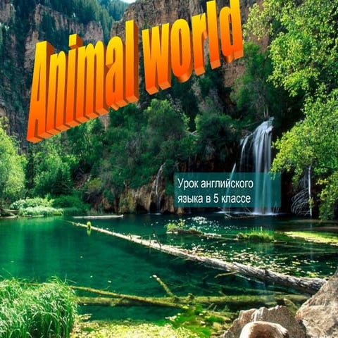 Animal world | PPT