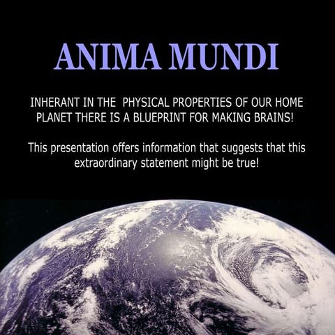 Anima Mundi Presentation | PPT