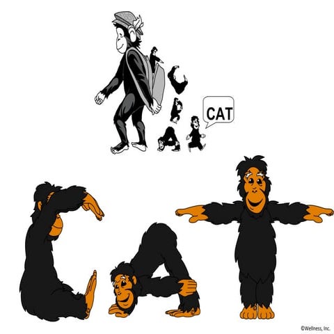 Animated chimp cat word | PPT