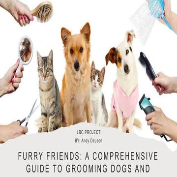 Grooming Project | PPTX