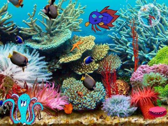 sea animals | PPT