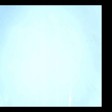 Chapter 7 memory and studying | DOC