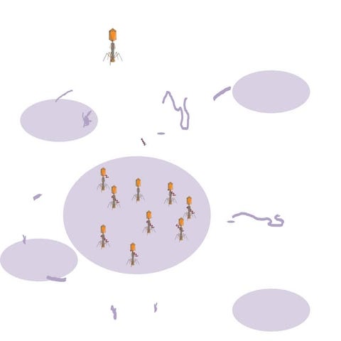 Animation Pptx Computer Animation Computer Software And Applications