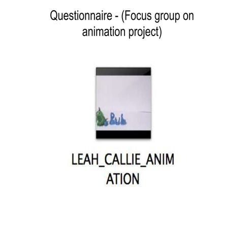 Animation focus group and questionaire evaluation copy | PPTX