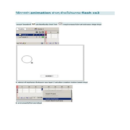 วิธีการทำ Animation ต่างๆ ด้วยโปรเเกรม flash cs3 | DOCX