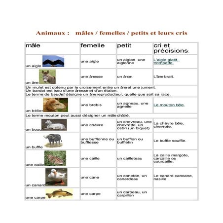 les animaux male/female/cri | DOC