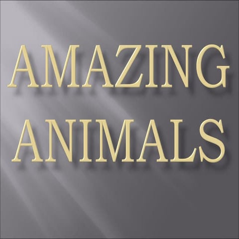 Animaux [024] amazing animals | PPS