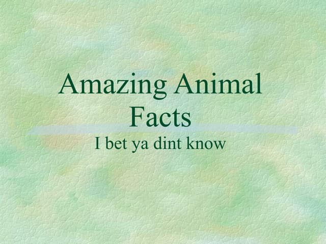 Fun and interesting facts powerpoint | PPTX