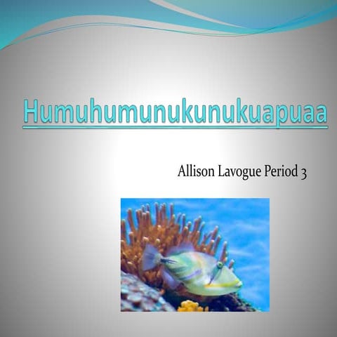 Animmal power point allison lavogue | PPTX