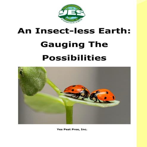 An Insect-less Earth: Gauging The Possibilities | PDF