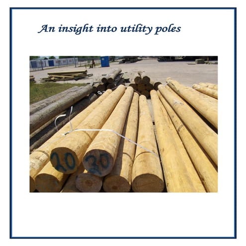 An insight into utility poles | PDF