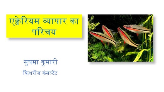 Ornamental aquaculture scenario | PPTX