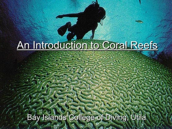 Coral reef | PPT