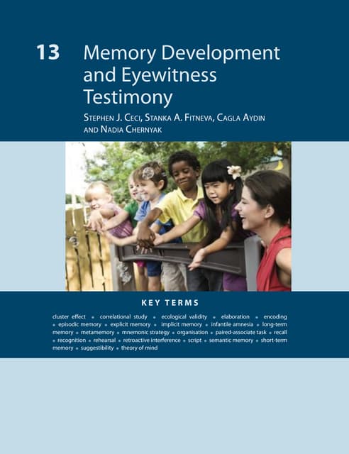 Eye Witness basics | PPT