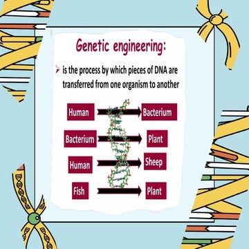 An introduction to DNA - first topic first week.pptx