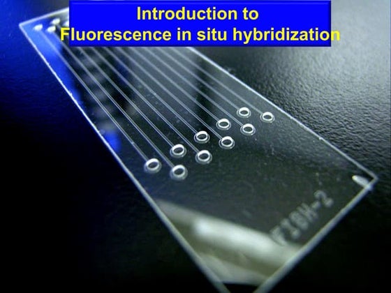 Fluorescent in-situ Hybridization (FISH) | PDF