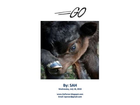 Golang Go Programming Language Pptx Programming Languages Computing