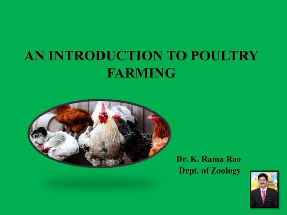 Processing of poultry | PPT