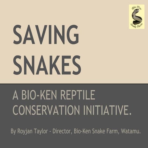 An introduction to Saving Snakes | PDF