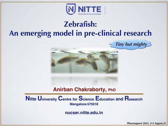 Computational models in research | PPT