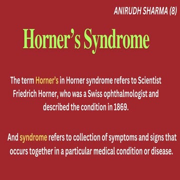 Horners syndrome anatomy mbbs first prof | PDF