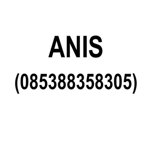 ANIS.docx