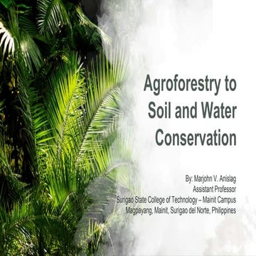 Agroforestry to Soil and Water Conservation | PPTX